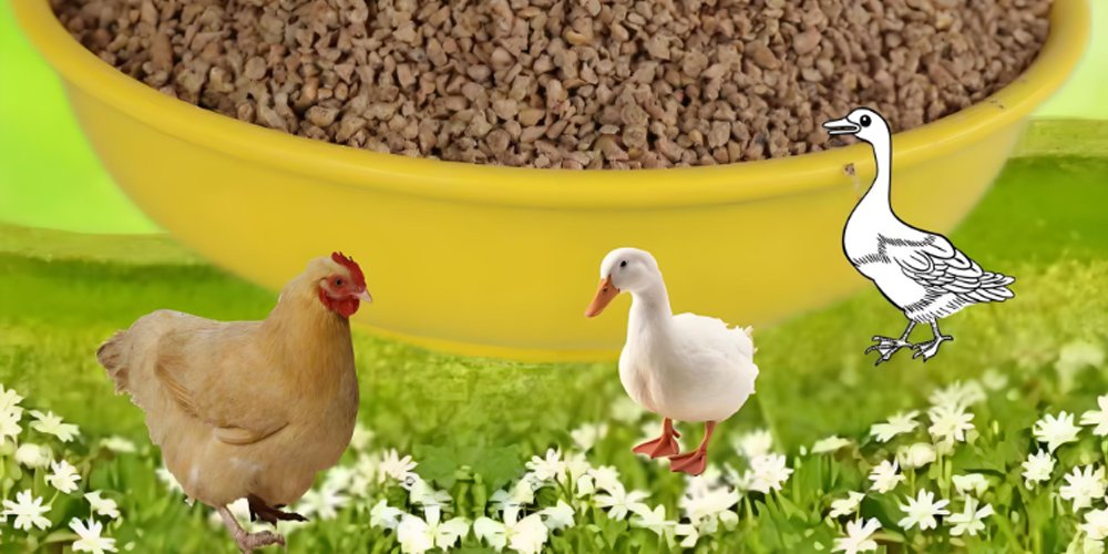 How to make chicken feed pellets - Fude Machinery-wood crusher ...