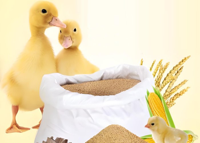 How Are Duck Feed Granules Made and Improved?-Fude Machinery-wood ...