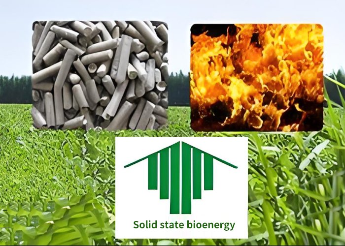 Survey on Manufacturing Technology of Biomass Pelletizing-Fude ...